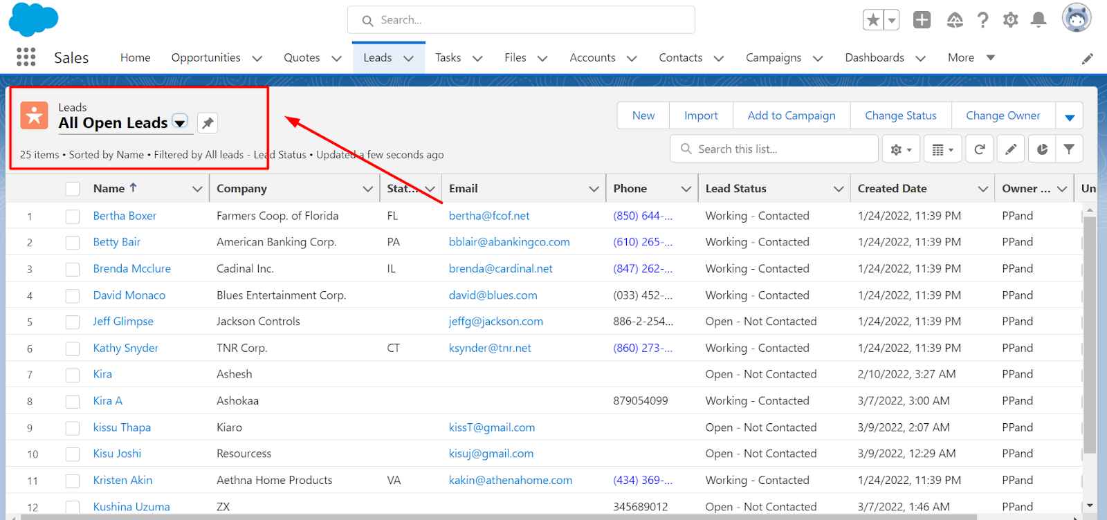 Ring.io Integration With Salesforce